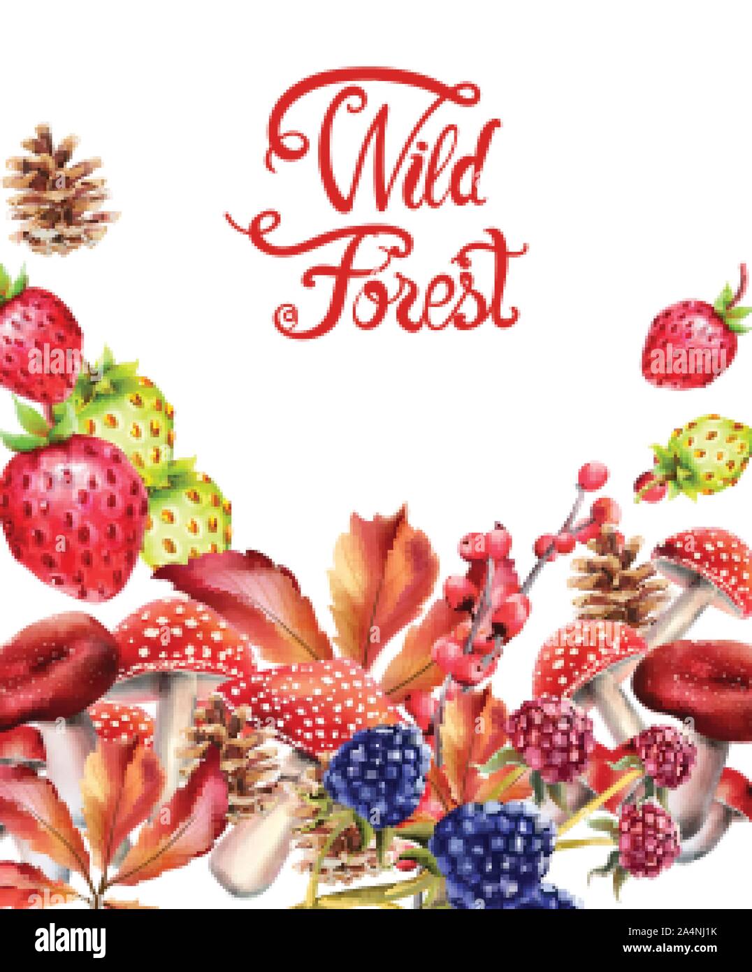 Wild forest fruits composition vector. Strawberries, autumn leaves and ...