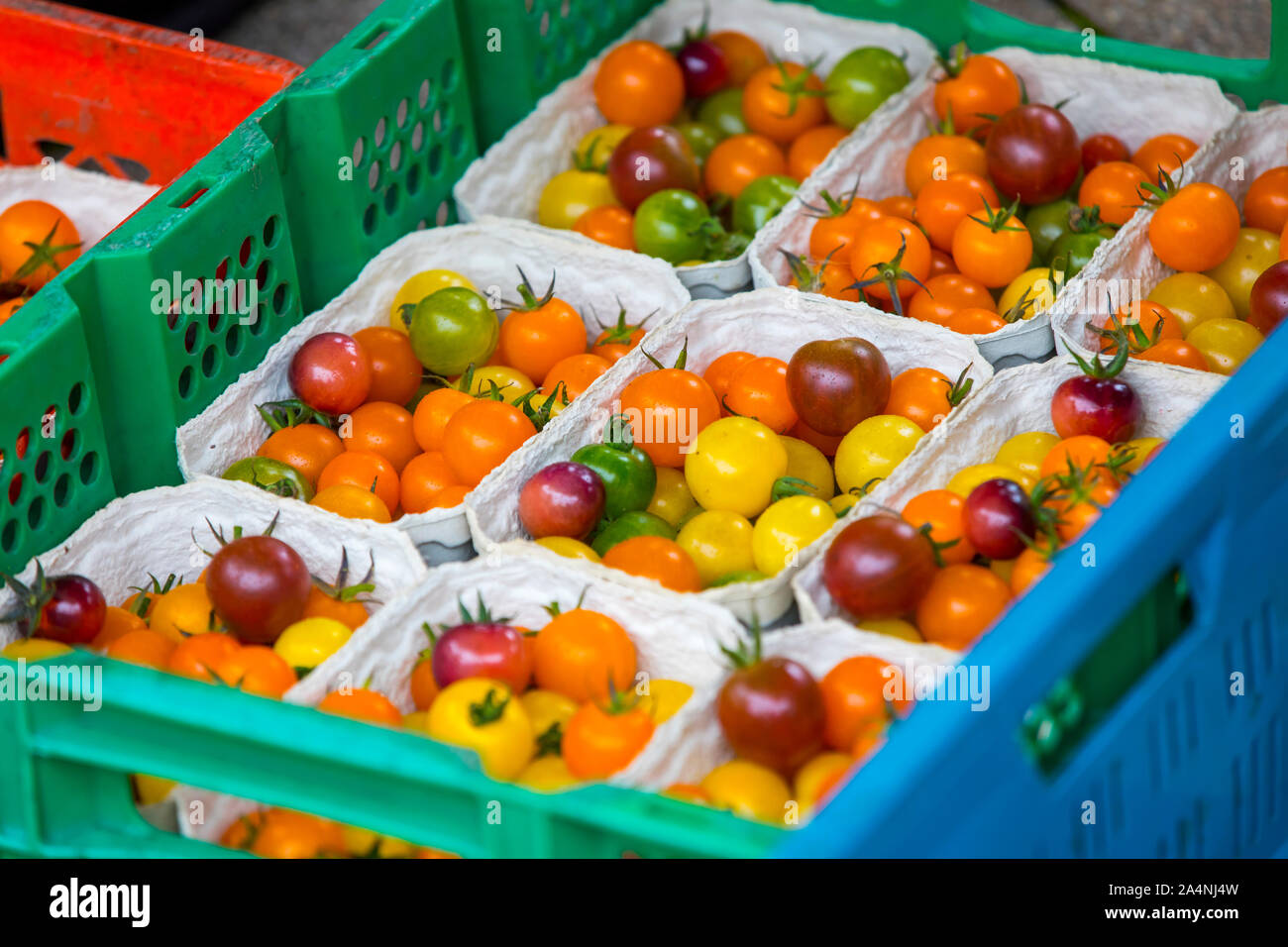 Vegetables, various tomatoes, market stall Stock Photo - Alamy