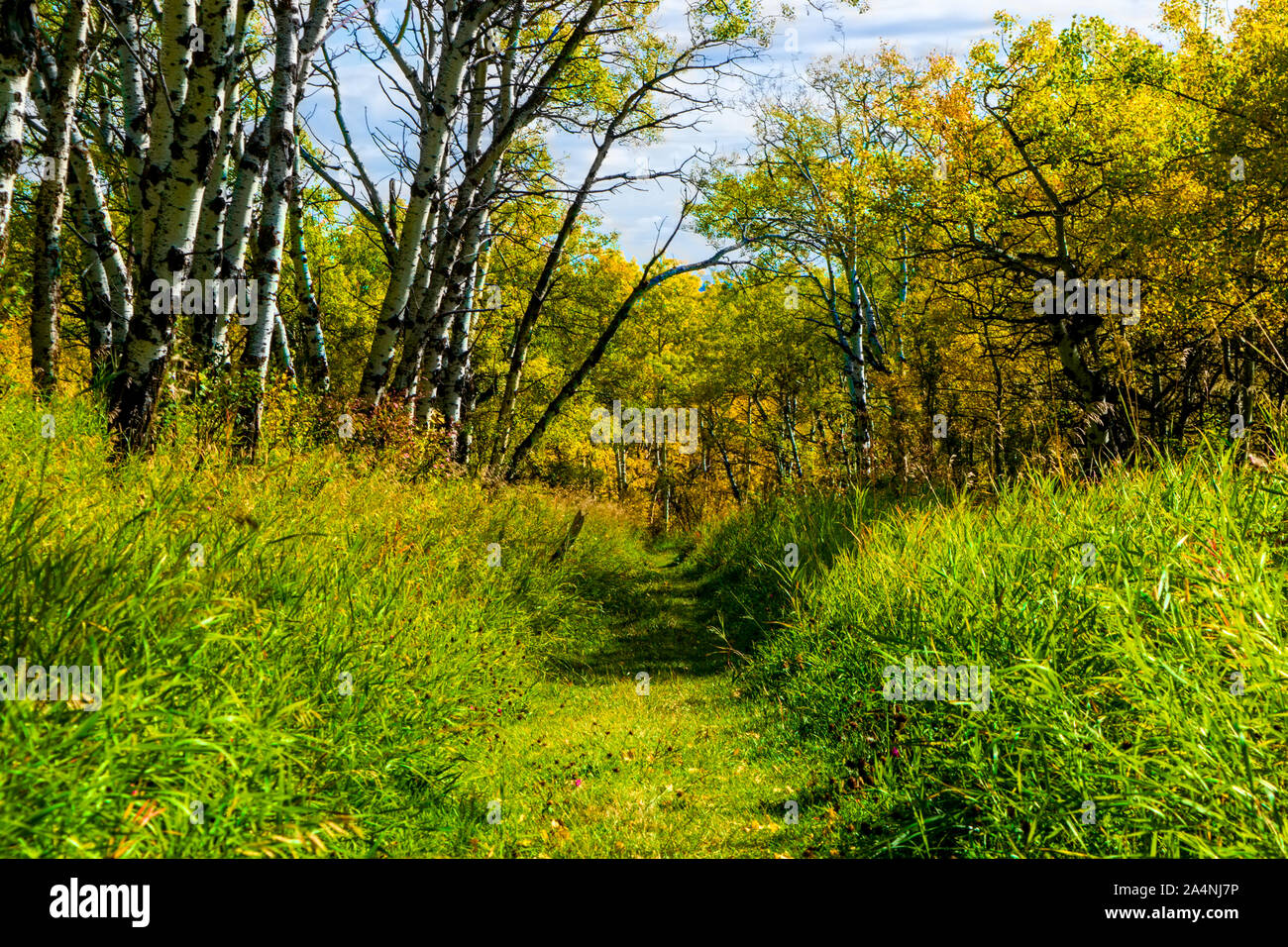 Southern alberta scenery hi-res stock photography and images - Alamy