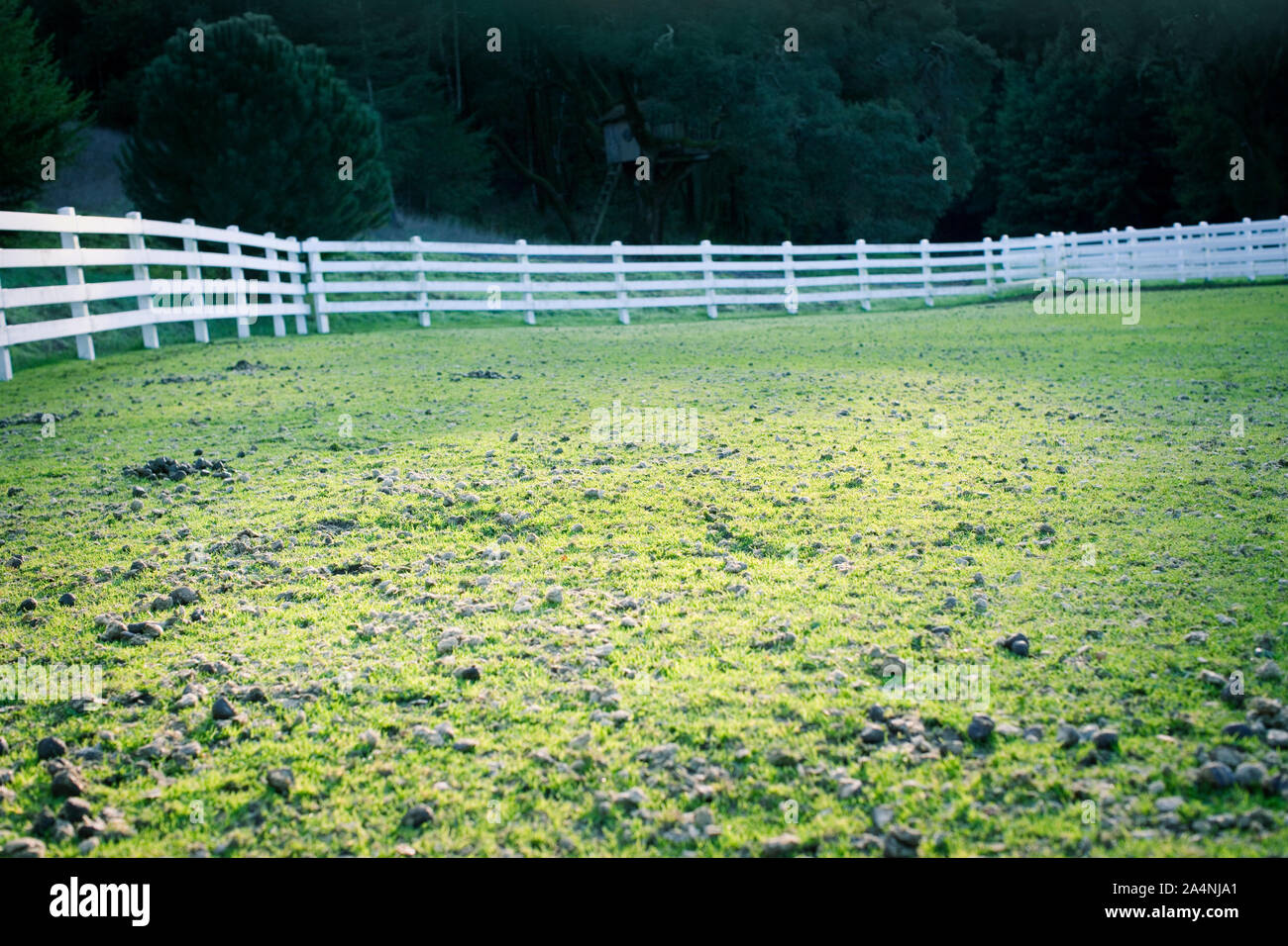 Fenced horse paddock on a ranch Stock Photo - Alamy