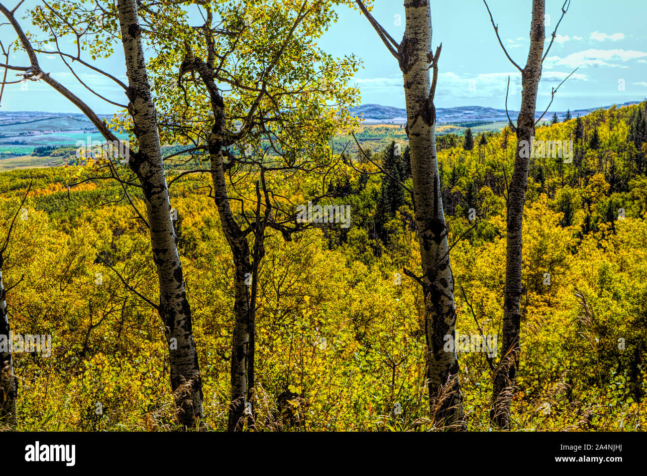 Fall hikes hi-res stock photography and images - Alamy