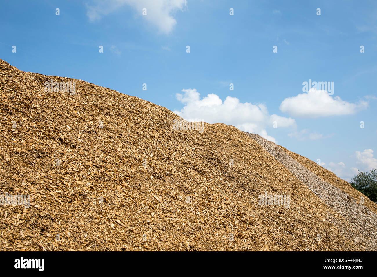 Wood chips, wood chippings, from waste wood Stock Photo - Alamy