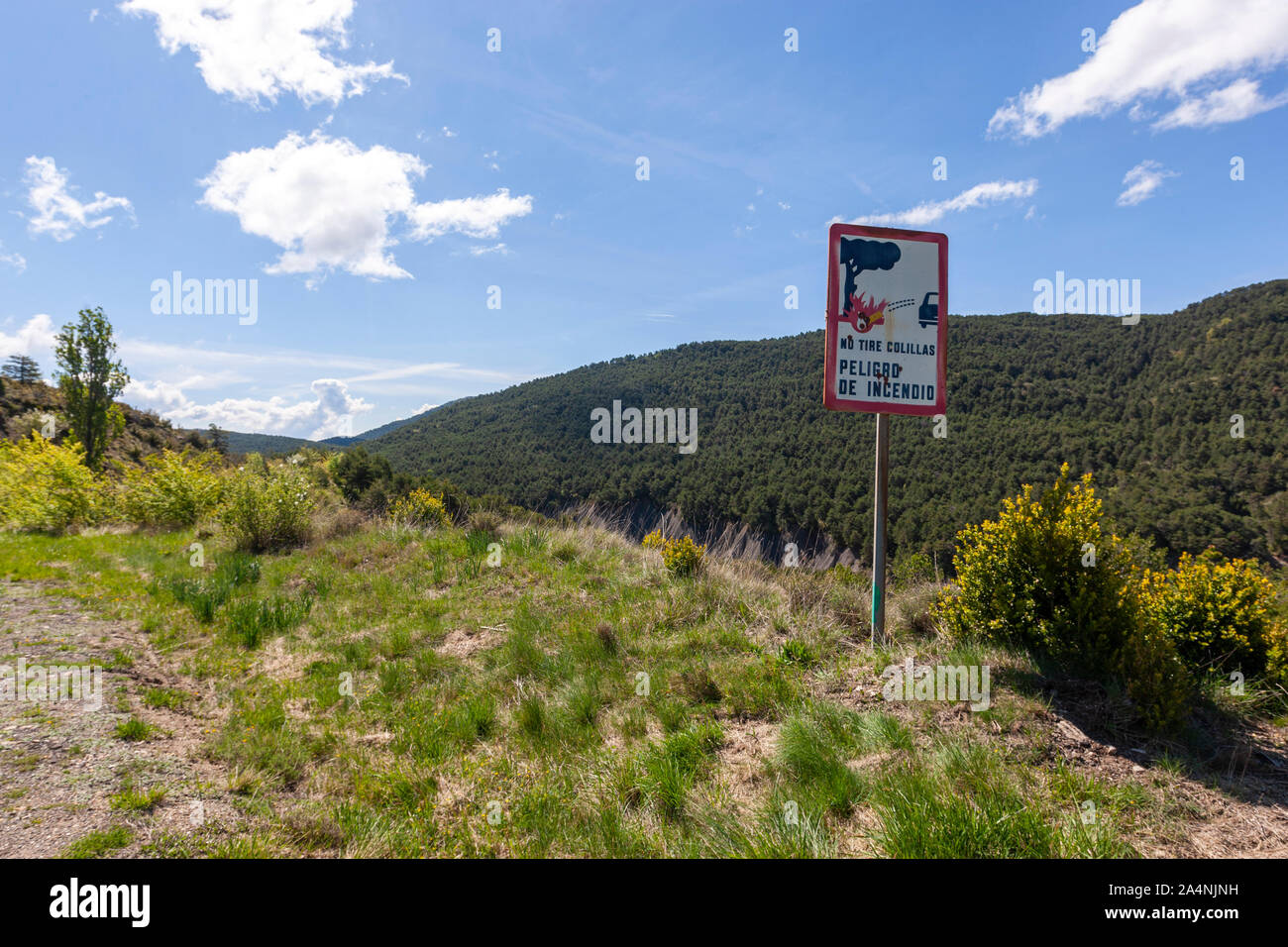 Do not throw cigarettes butts road sign because danger of fire in the ...