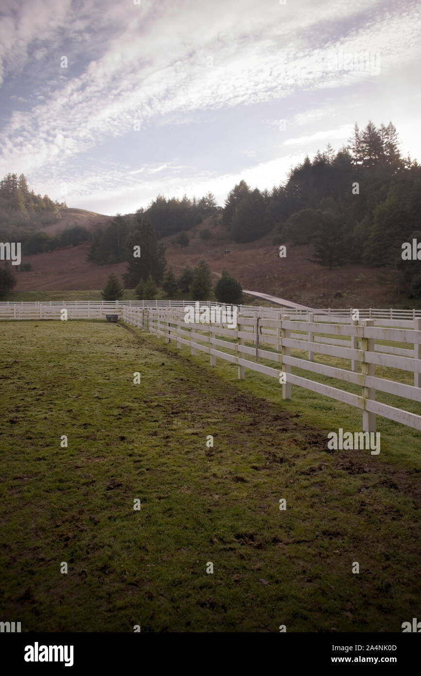 Fenced paddock at a horse stable on a farm in the country Stock Photo ...