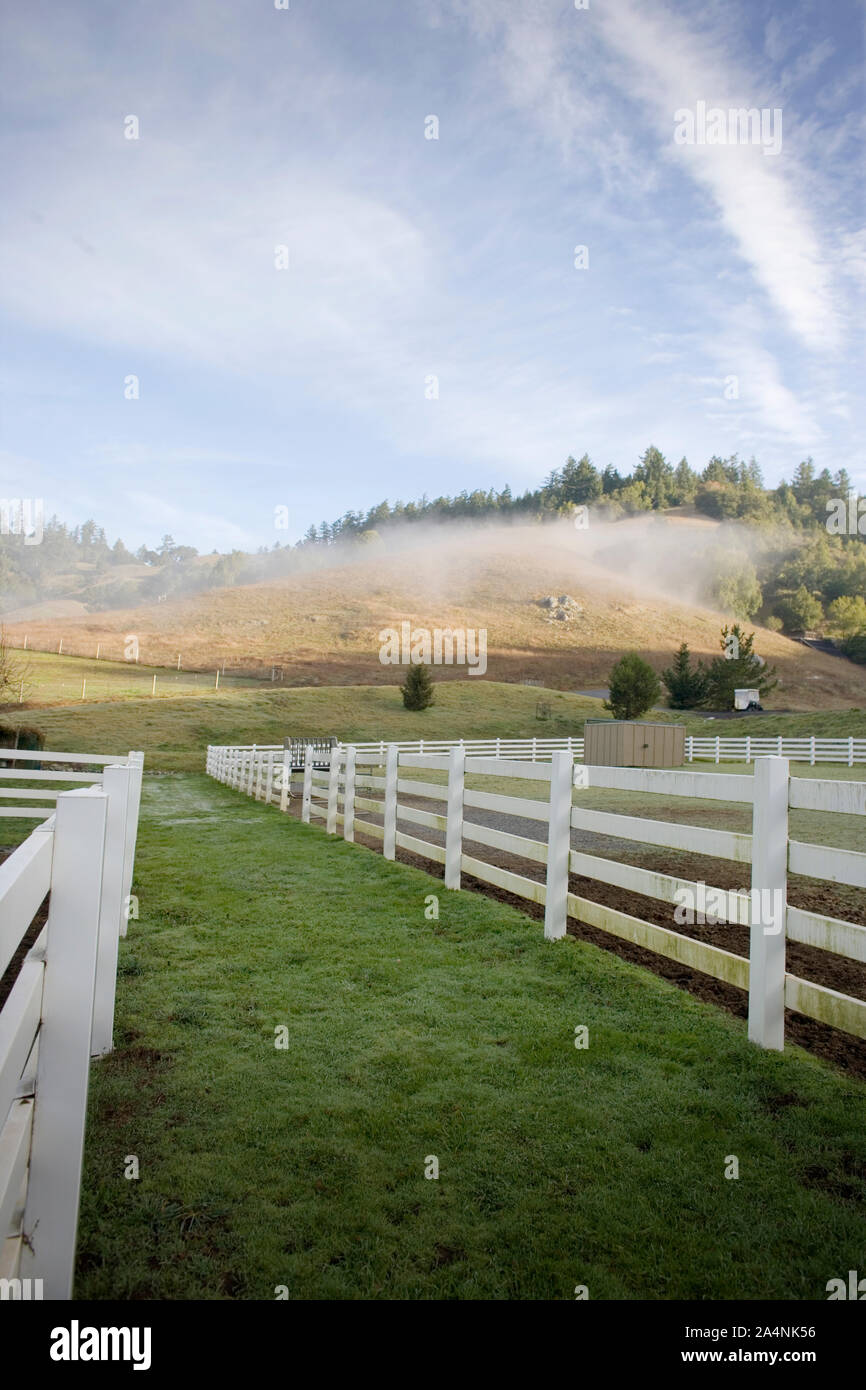 Fenced paddock at a horse stable on a farm in the country Stock Photo ...