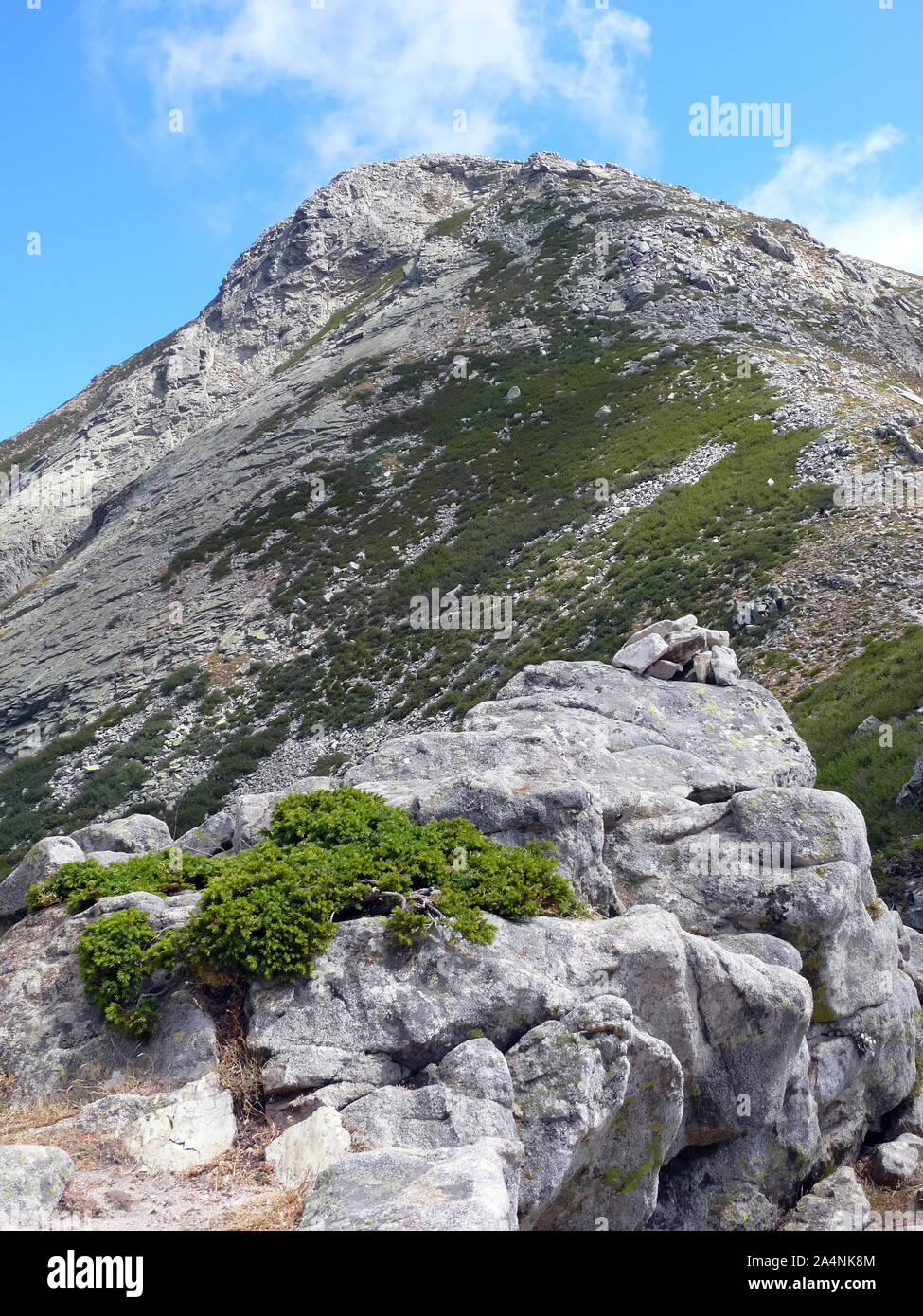 Col de Reta, Corsica, France, Europe Stock Photo - Alamy