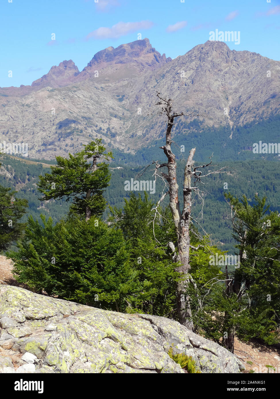 Pierre de col hi-res stock photography and images - Alamy