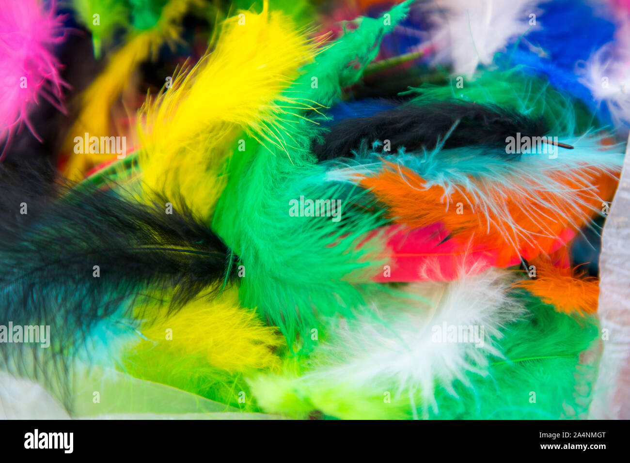 Plastic feathers hi-res stock photography and images - Alamy