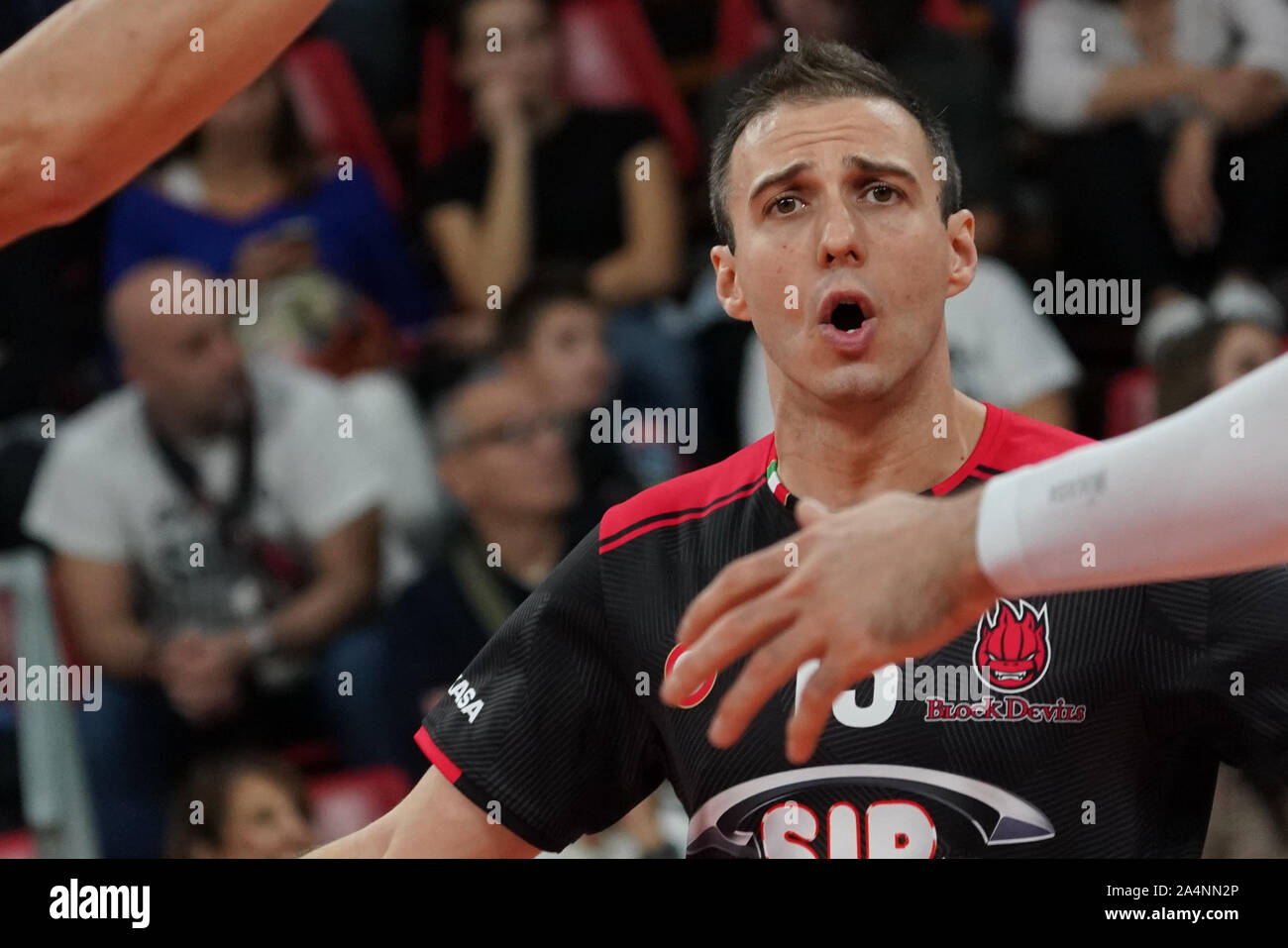 massimo colaci , n.13 libero sir safety conad perugia, celebrates ...