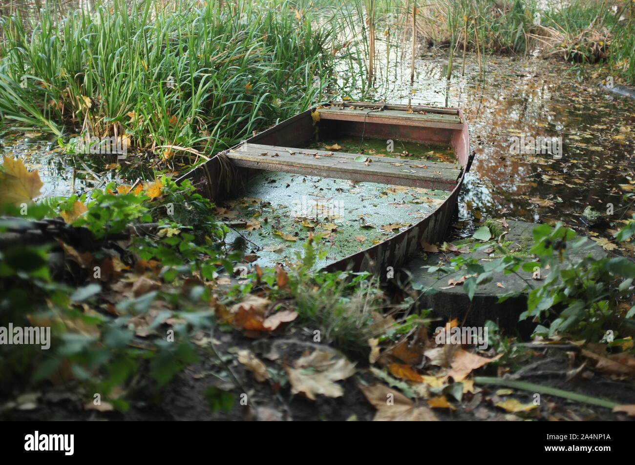 gold autumn colors Stock Photo - Alamy