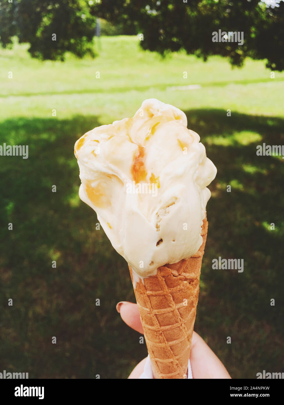 Delicious gelato, organic dairy and homemade recipe concept - Ice cream ...