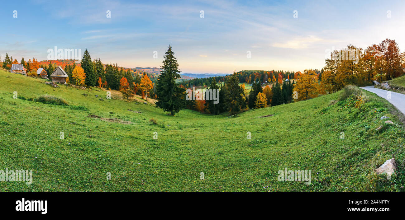 great rural landscape panorama in mountains at dusk. mixed forest on ...