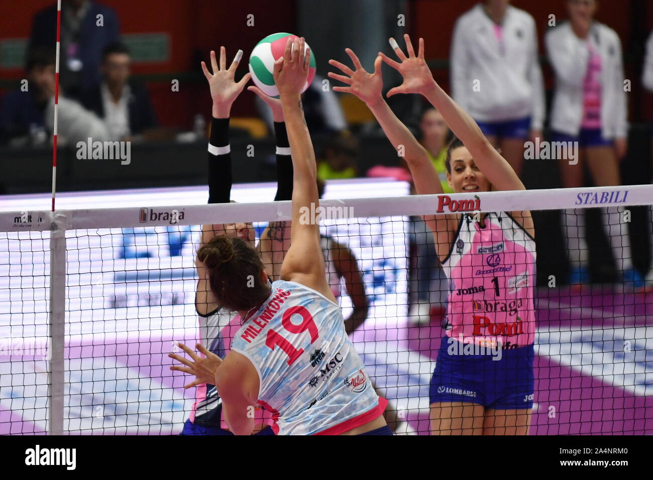 Miro mina popovic pomi hi-res stock photography and images - Alamy