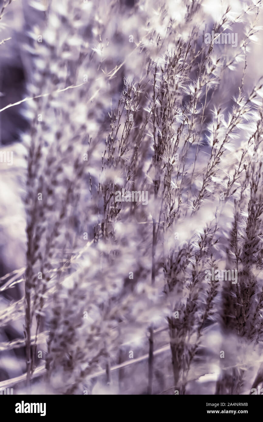 Rural landscape, pastel backdrop and environmental design concept ...