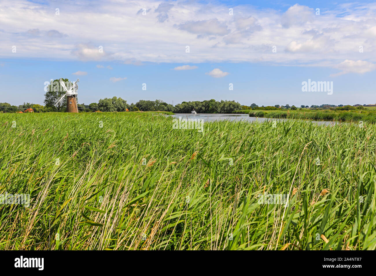 Hardley Drainage windmill, beside the River Yare, Hardley Marshes ...
