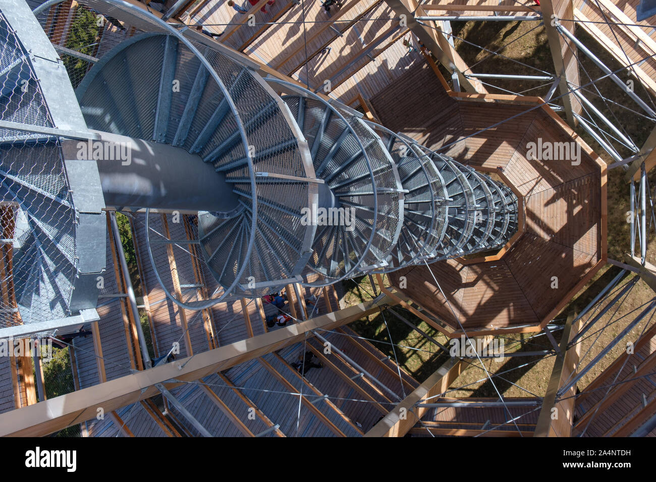 Baumwipfelpfad hi-res stock photography and images - Alamy