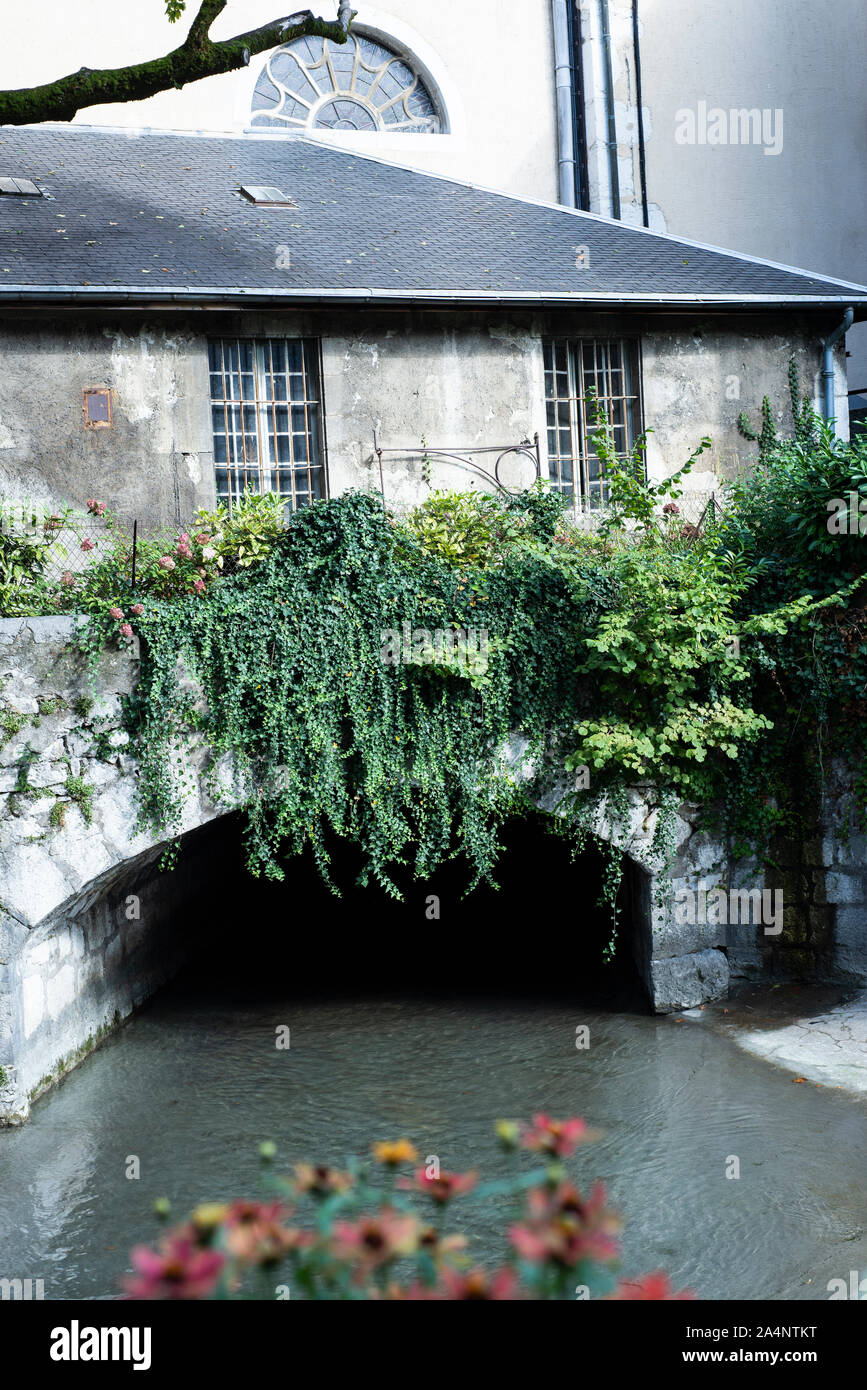 Greenery on architecture hi-res stock photography and images - Alamy