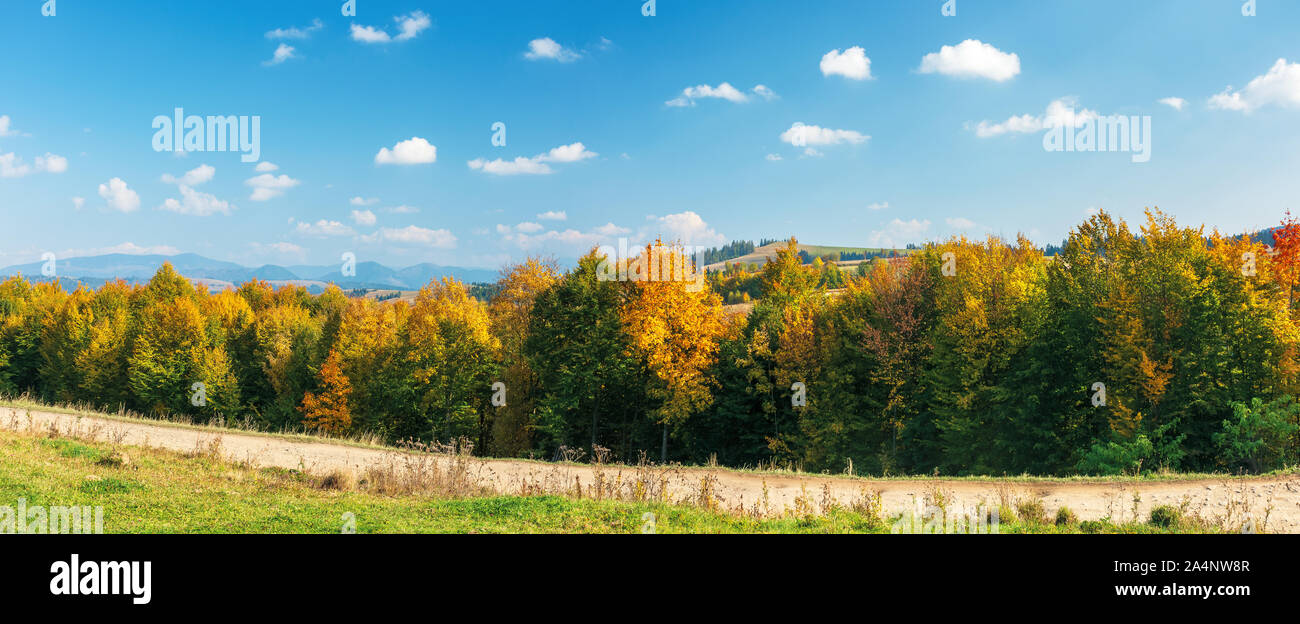 Lush autumn foliage across wide hi-res stock photography and images - Alamy