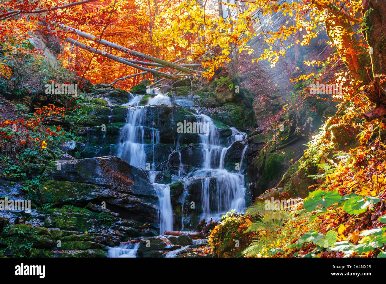 Beautiful Fall Sceneries