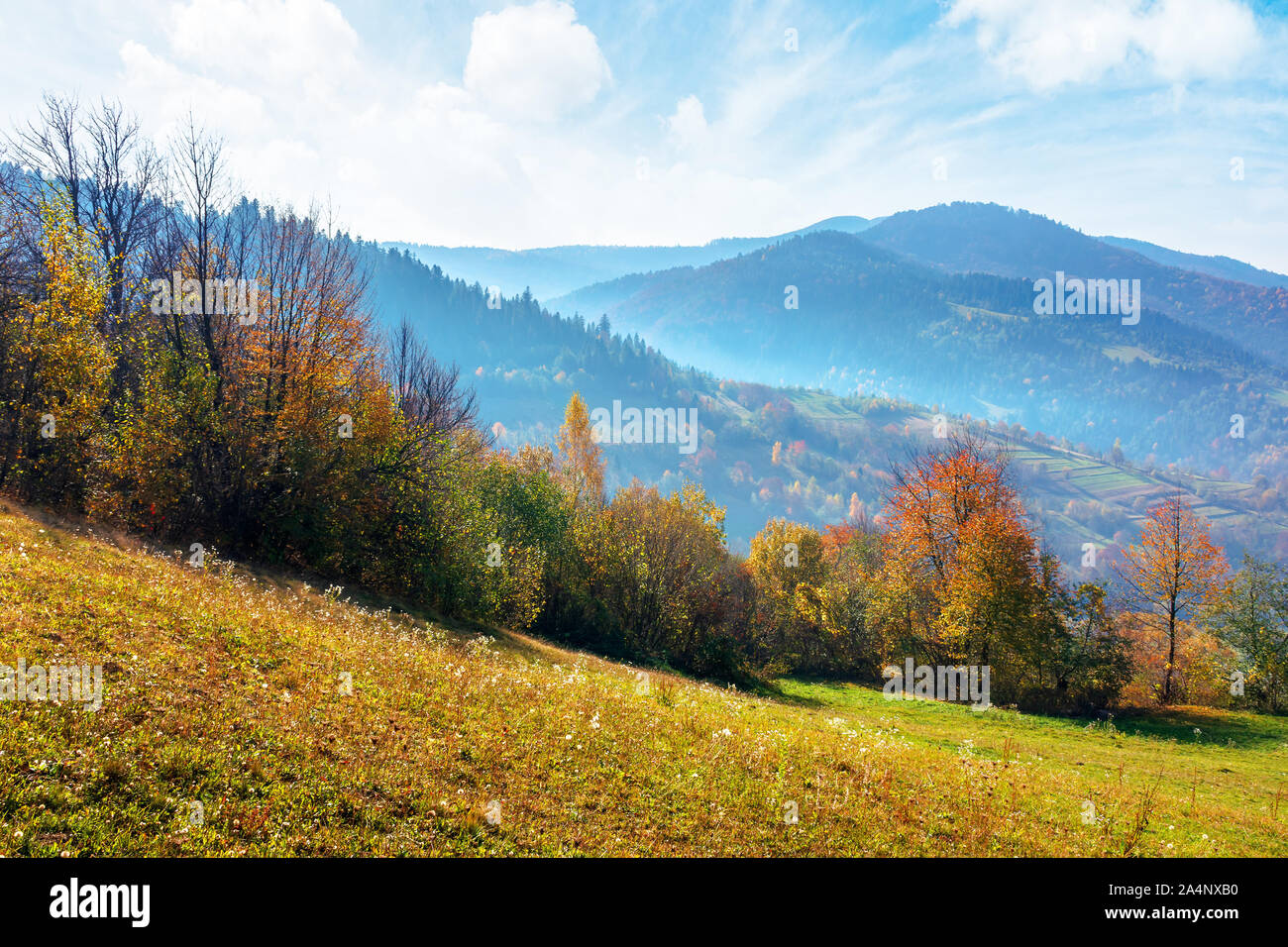 mountainous countryside on a sunny autumn day. trees in colorful ...