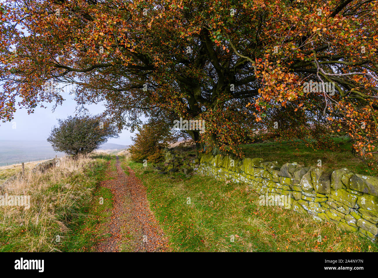 Countryside path in autumn hi-res stock photography and images - Alamy