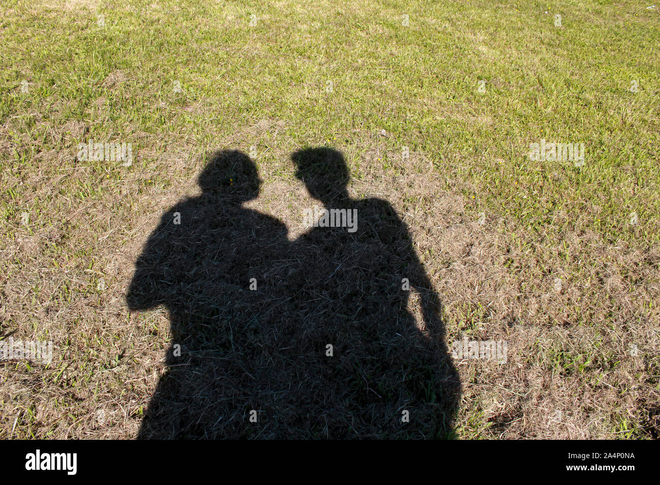 Tree man shadows in hi-res stock photography and images - Alamy