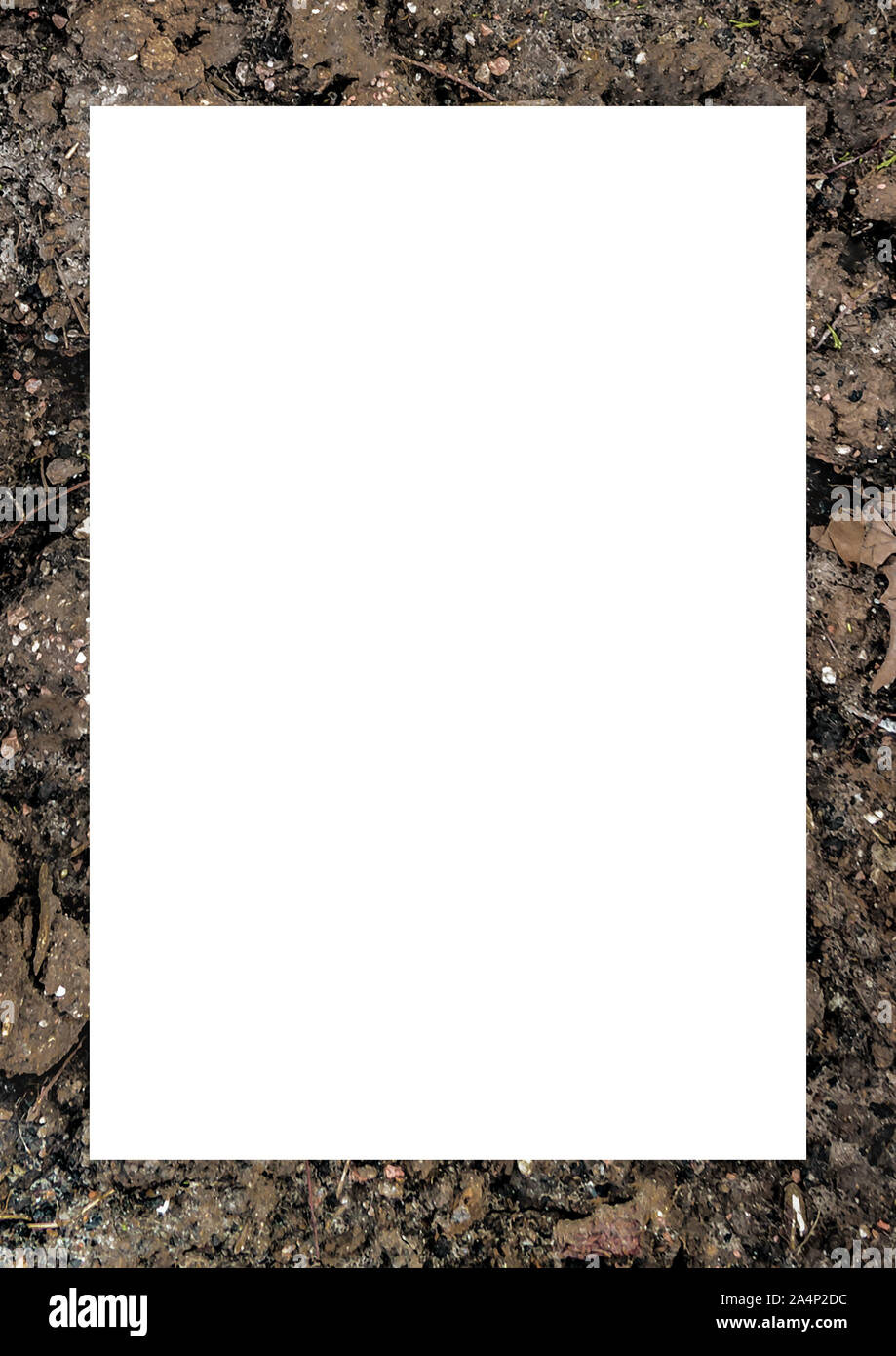 White frame background with decorated design borders Stock Photo - Alamy