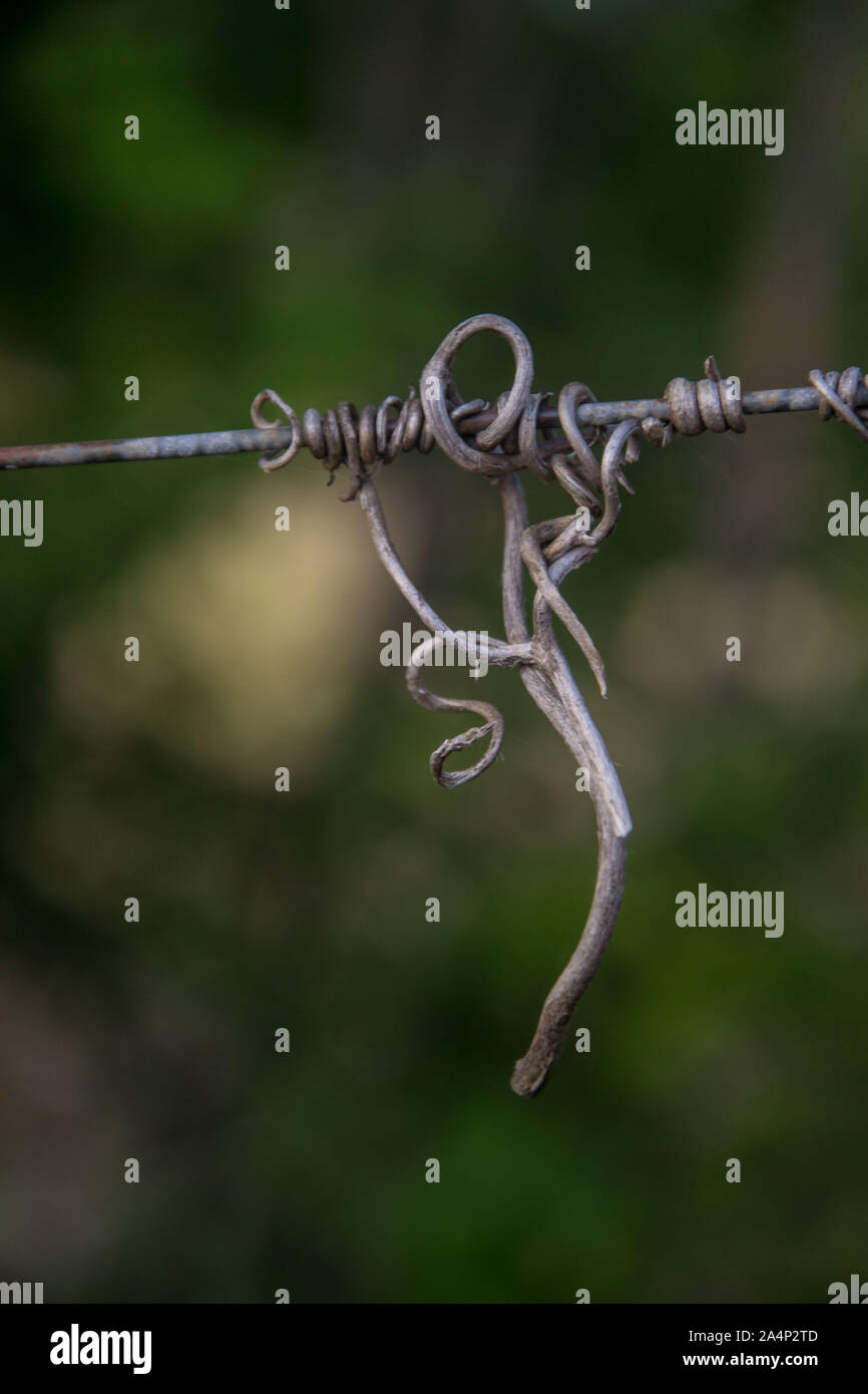 Metal with specific texture hi-res stock photography and images - Alamy