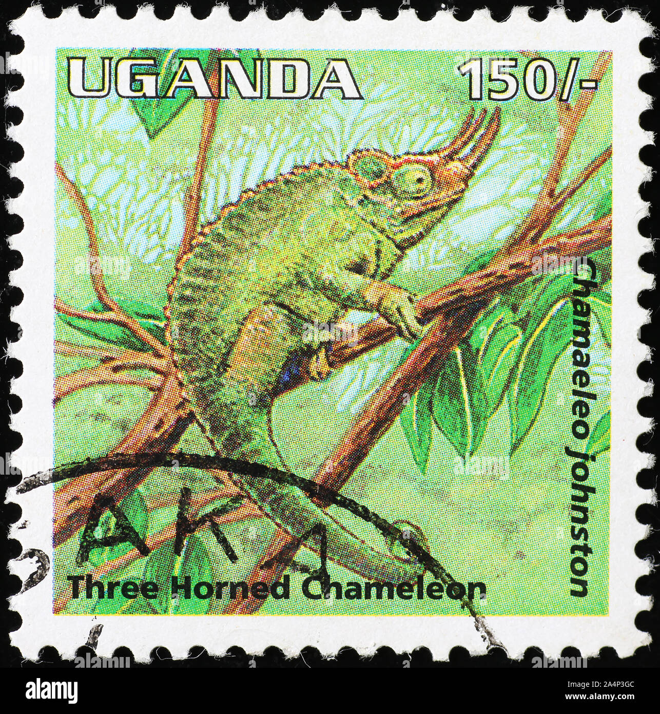 Three-horned chameleon on postage stamp of Uganda Stock Photo - Alamy
