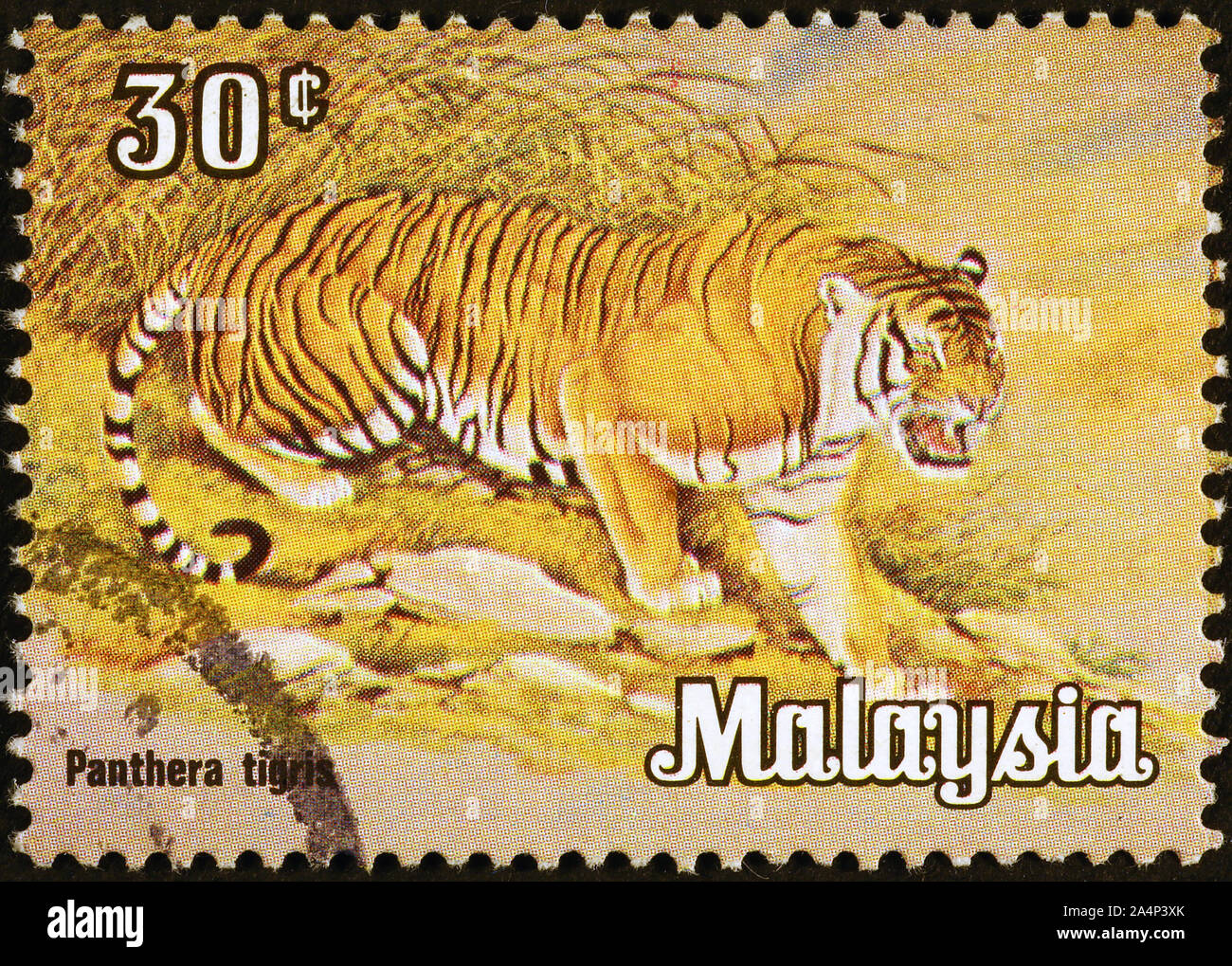 Tiger on malaysian postage stamp Stock Photo - Alamy