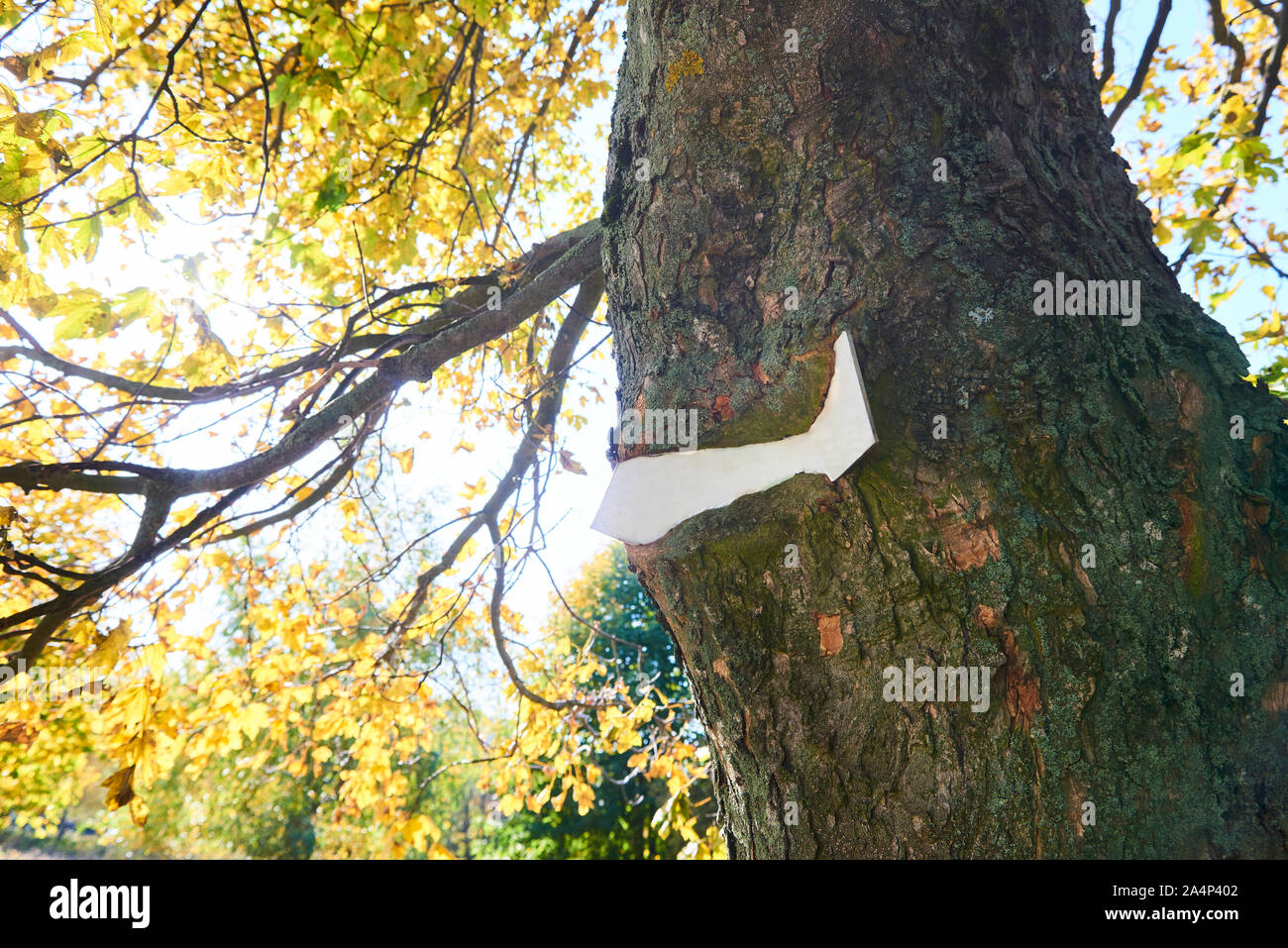 Tree signage hi-res stock photography and images - Alamy