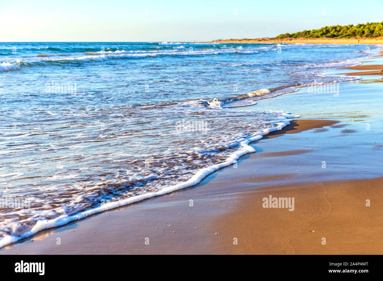 Amazing beach sunset with incredible foamy waves Stock Photo - Alamy