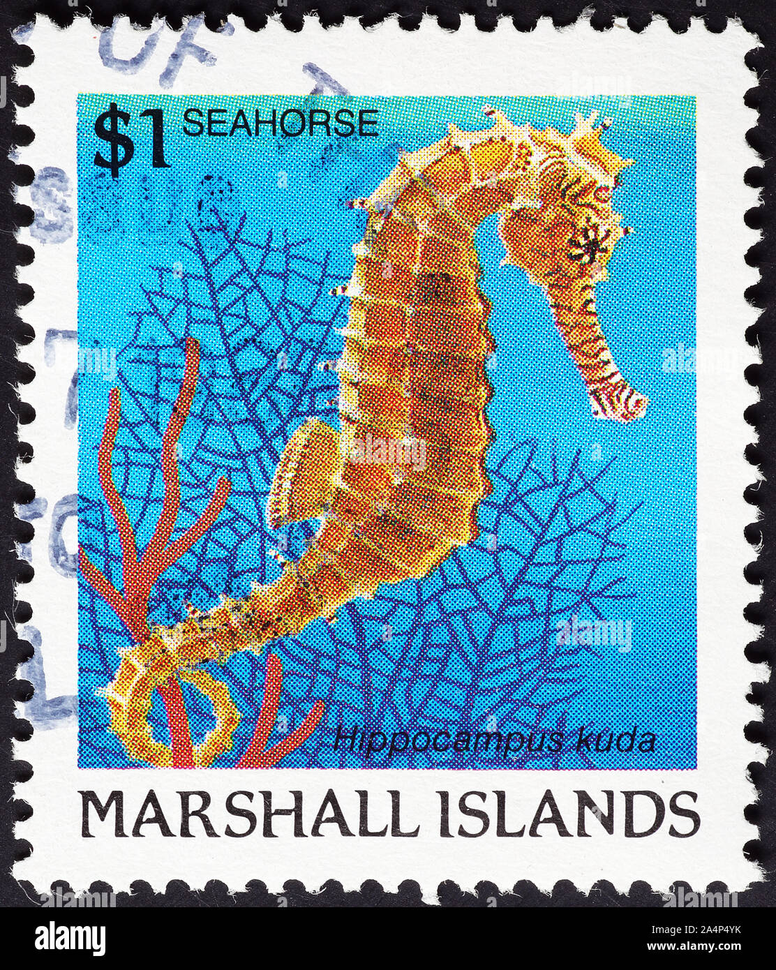 Seahorse on postage stamp of Marshall Islands Stock Photo - Alamy
