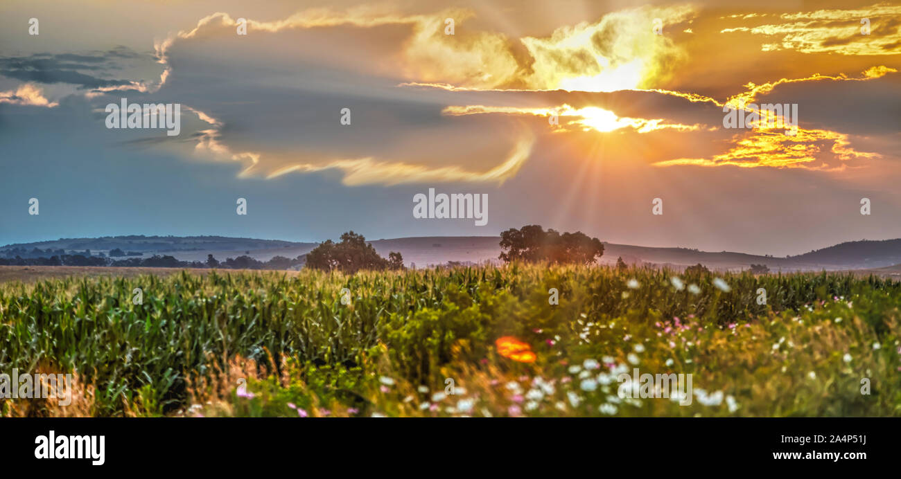 Landscape in South Africa the outskirts of Johannesburg city in Gauteng ...