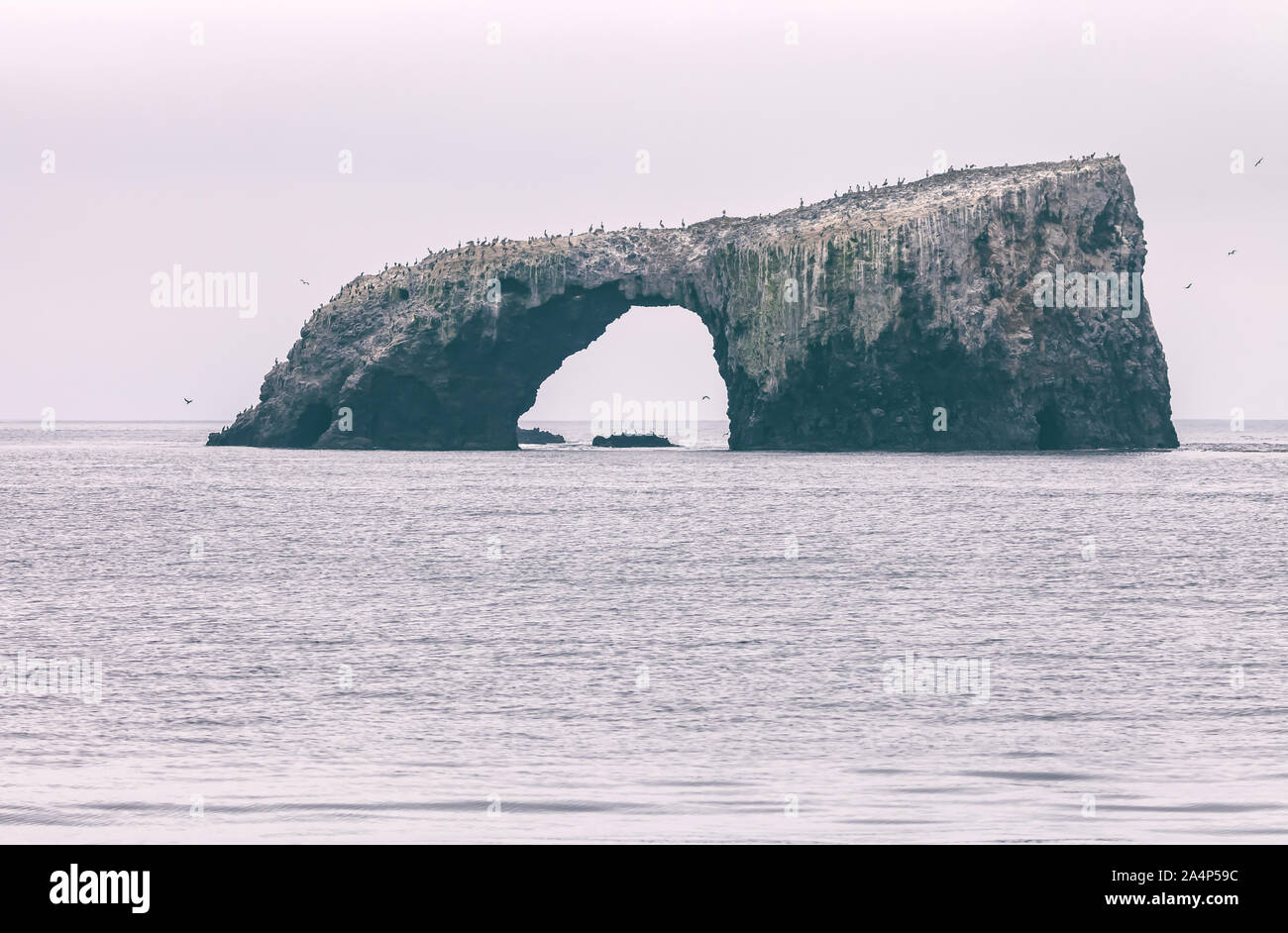 Arch rock at Anacapa Island, Channel Islands National Park, California ...