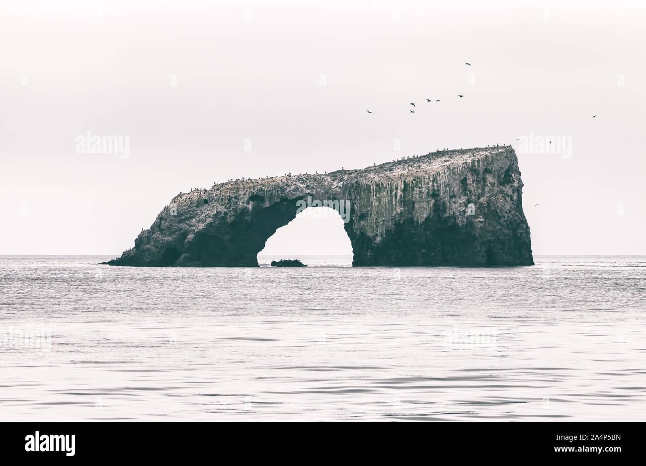 Arch rock at Anacapa Island, Channel Islands National Park, California ...
