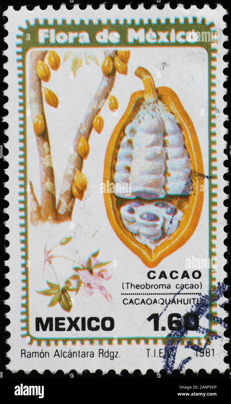 Cocoa pod and plant on mexican postage stamp Stock Photo - Alamy