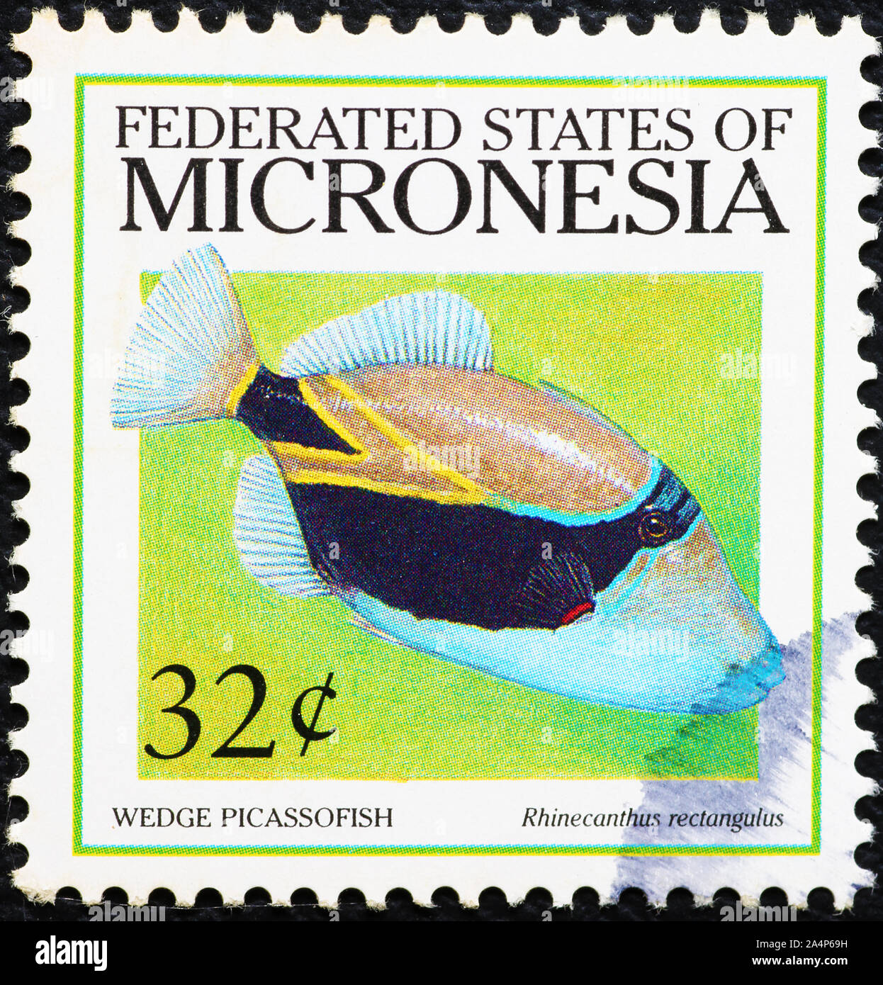 Tropical fish on postage stamp of Micronesia Stock Photo - Alamy