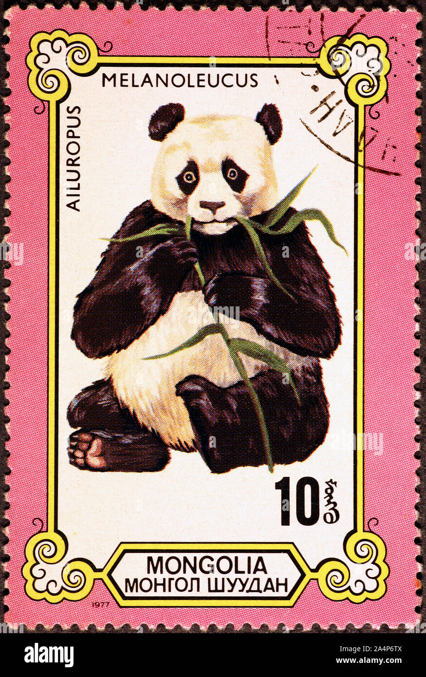 Giant panda on postage stamp of Mongolia Stock Photo - Alamy