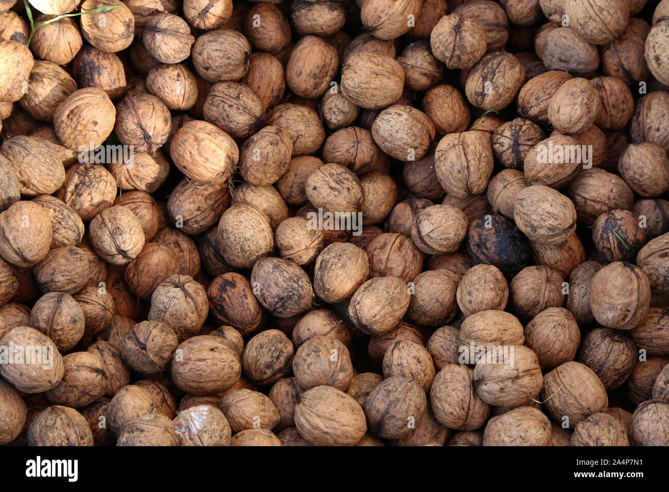Natural walnut in shell background pattern texture Stock Photo - Alamy
