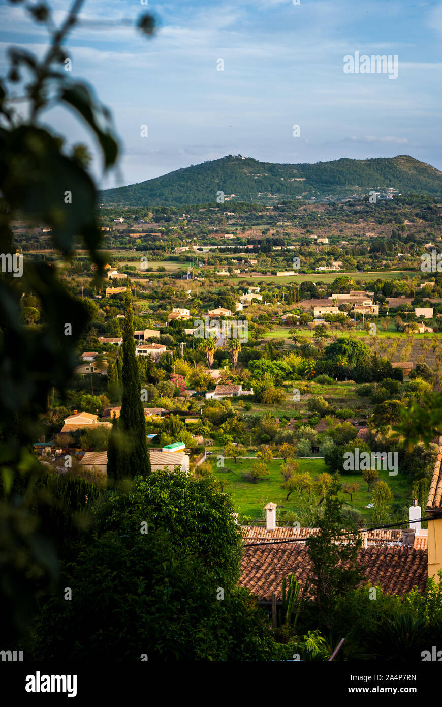 Selva mallorca hi-res stock photography and images - Alamy