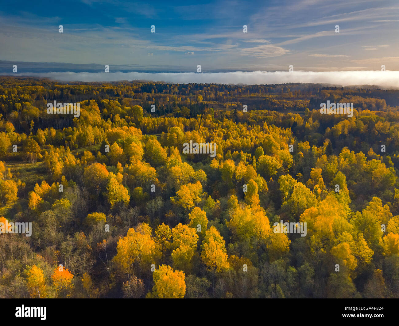 Aerial flight overhead autumn tree hi-res stock photography and images ...
