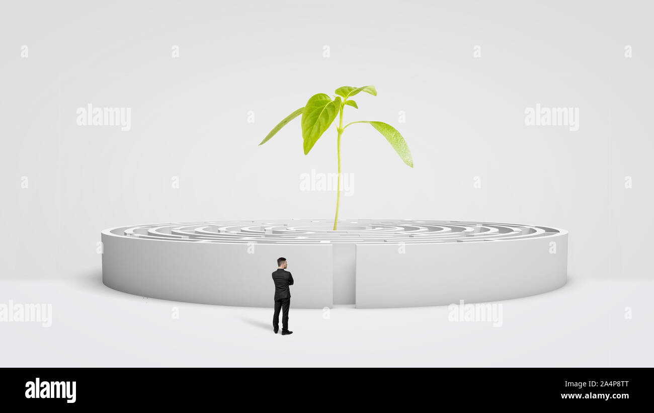 A businessman standing in front of a white round maze with a new green ...