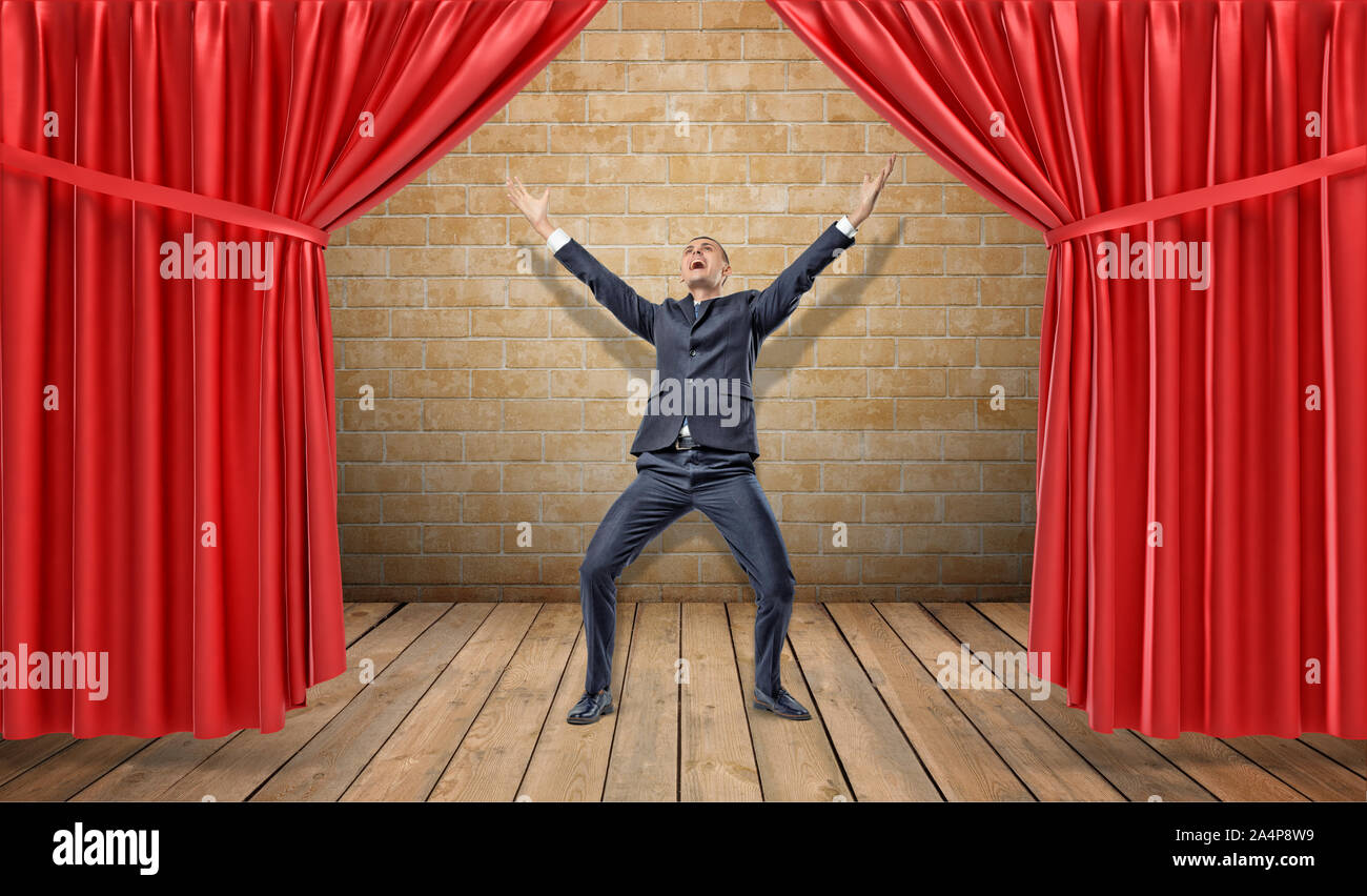 Businessman victory pose hi-res stock photography and images - Alamy