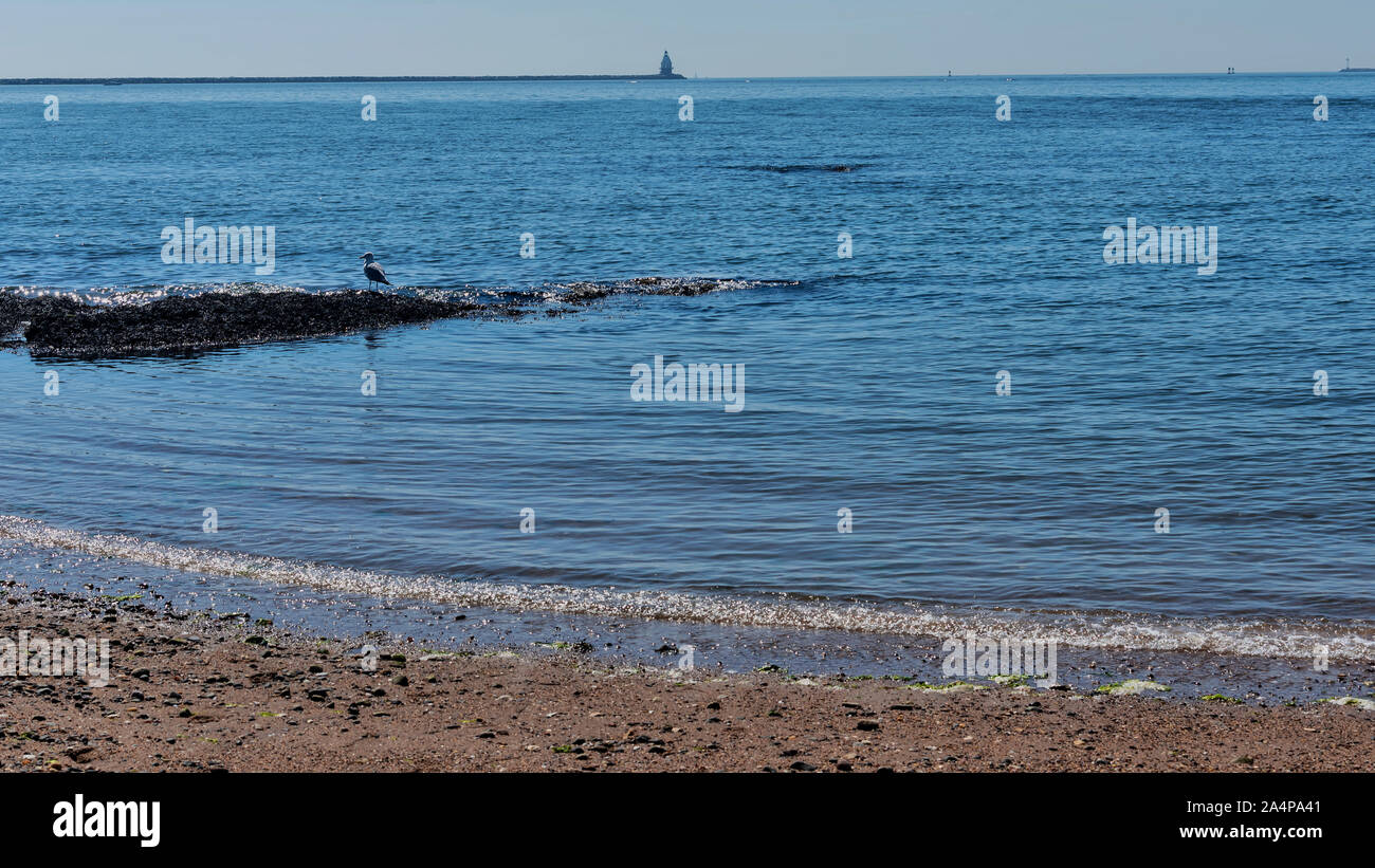 New haven city beach hi-res stock photography and images - Alamy