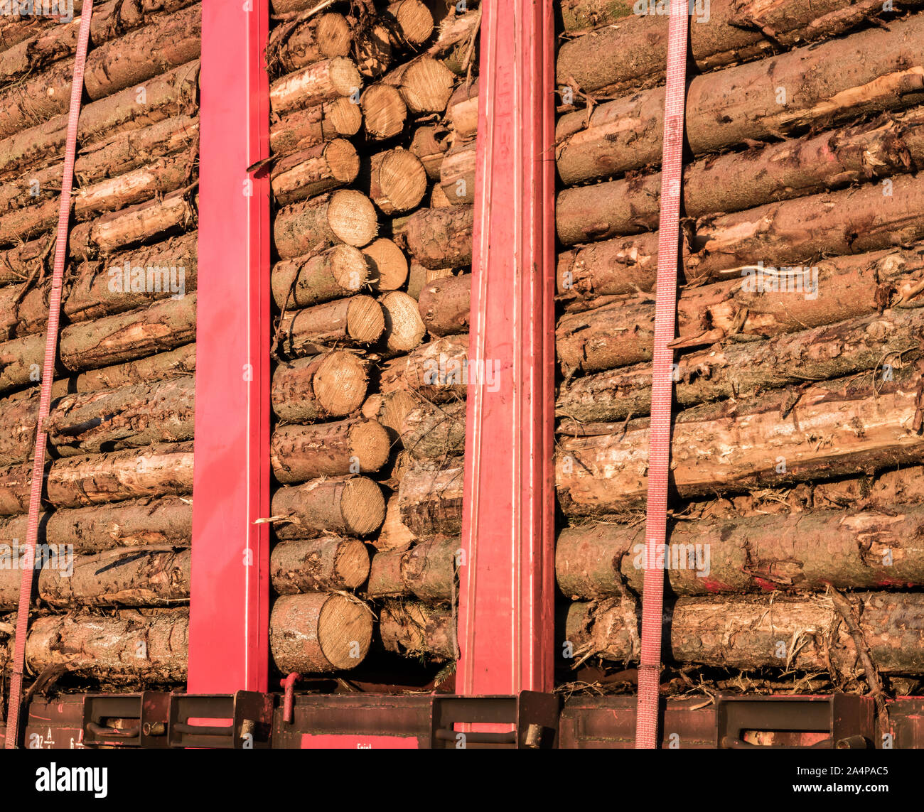 Train with tree hi-res stock photography and images - Alamy