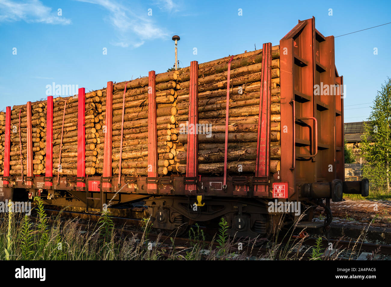 Train with tree hi-res stock photography and images - Alamy