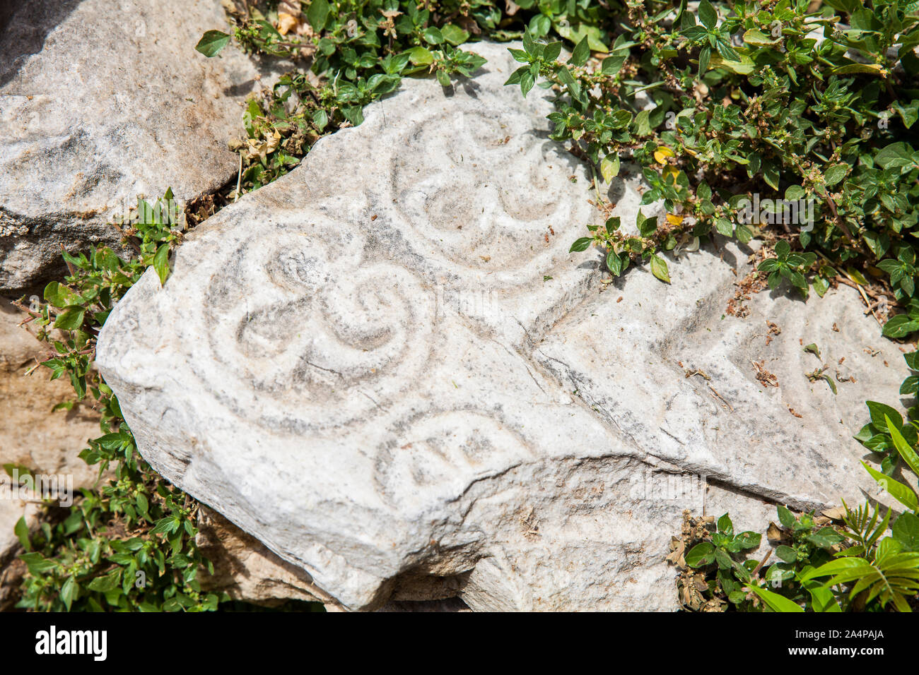 Detail of the carvings at the ancient ruins on the Roman Agora located ...