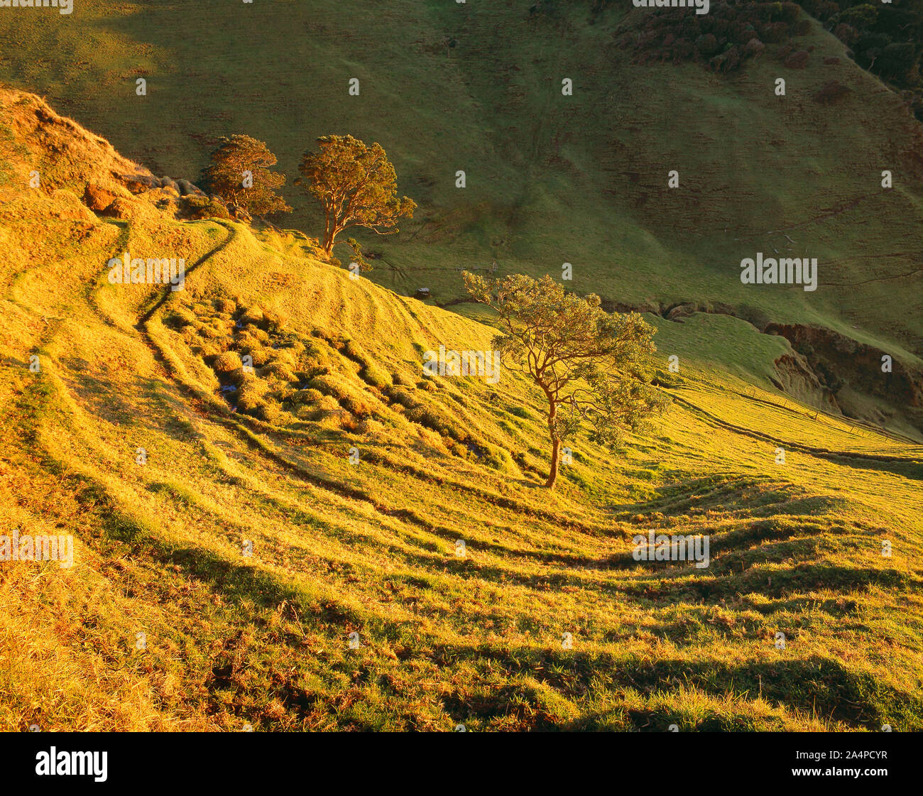 Sloping side of valley hi-res stock photography and images - Alamy