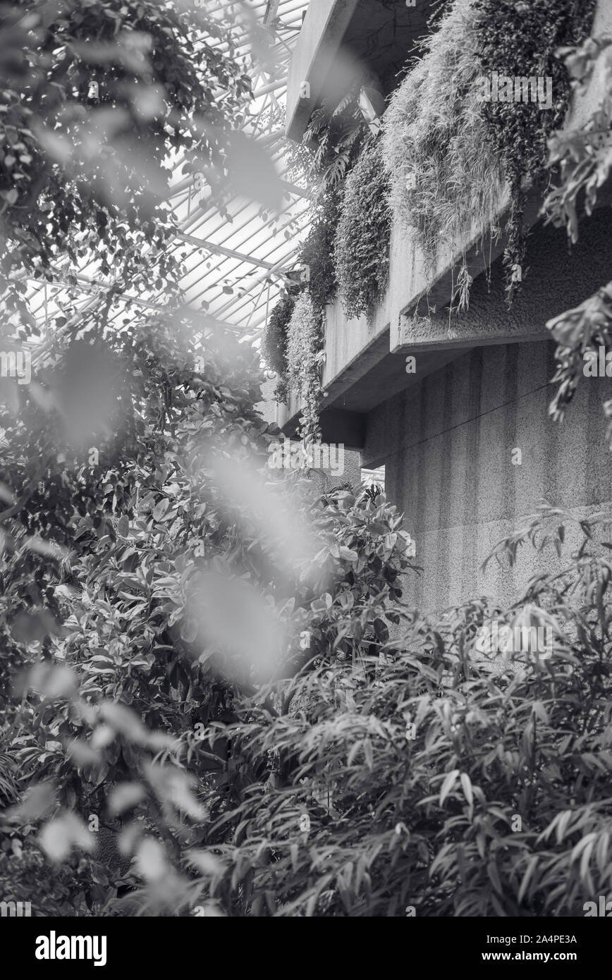 The barbican conservatory hi-res stock photography and images - Alamy